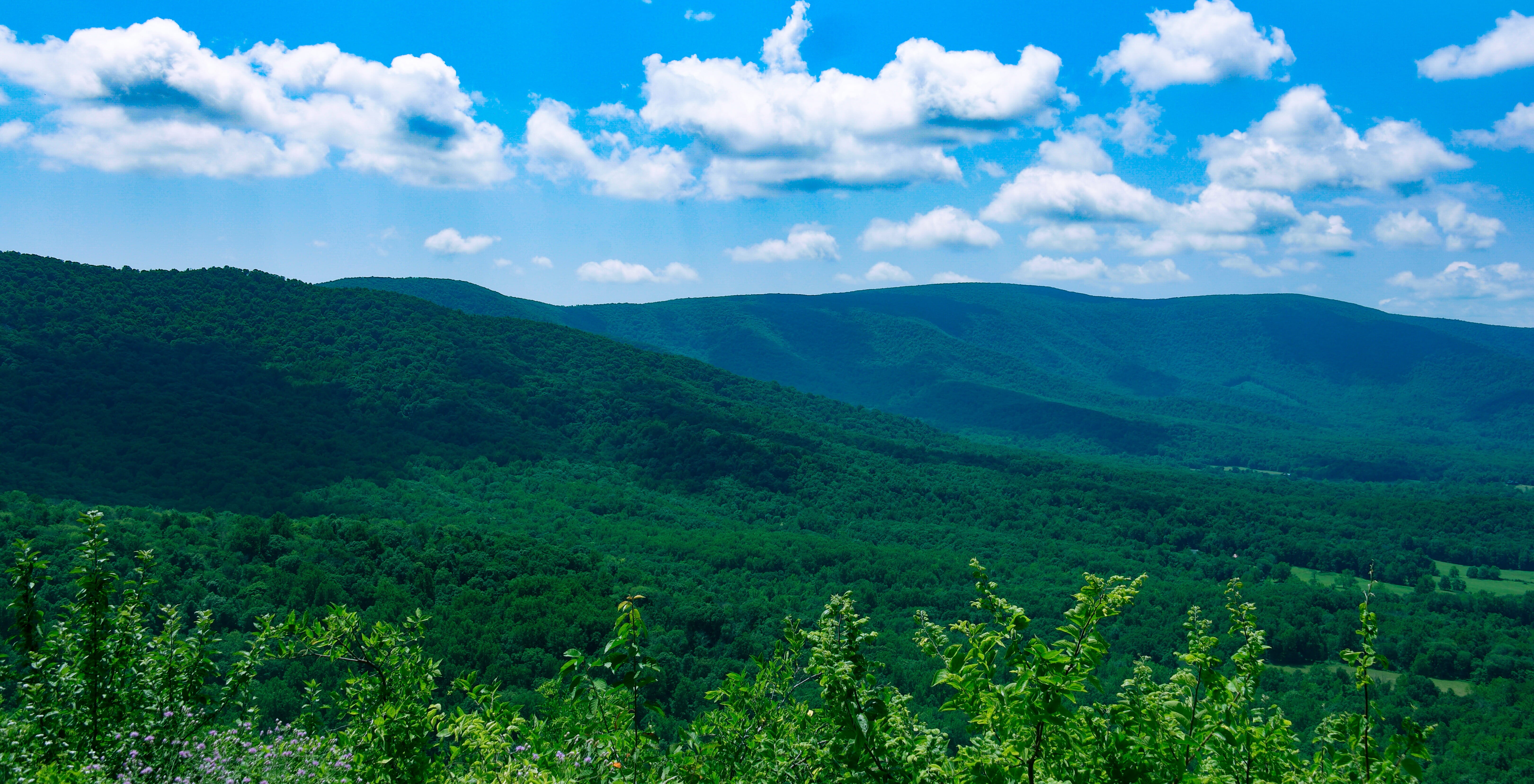 United States, Green Color, Tranquility, Overlook, Shenandoah Valley ...